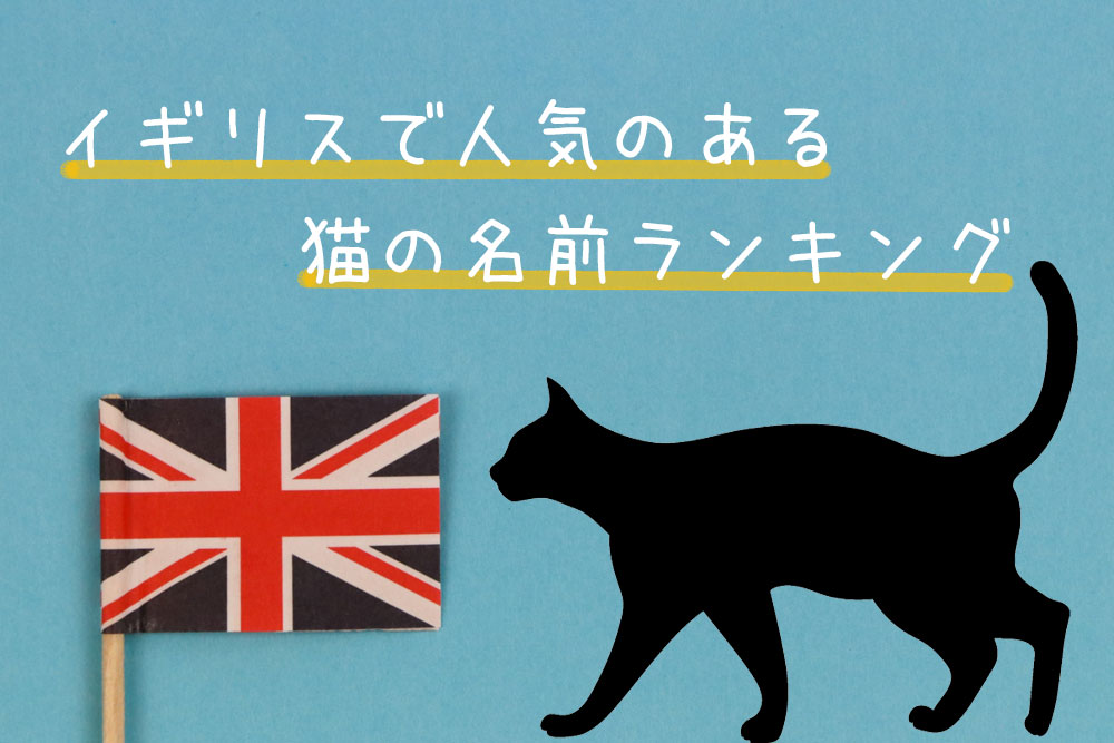 【最新】イギリスで人気のある猫の名前をランキングで紹介! ネコビュー